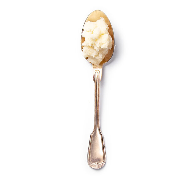 TWELVE PAP DISHES | JAN Online