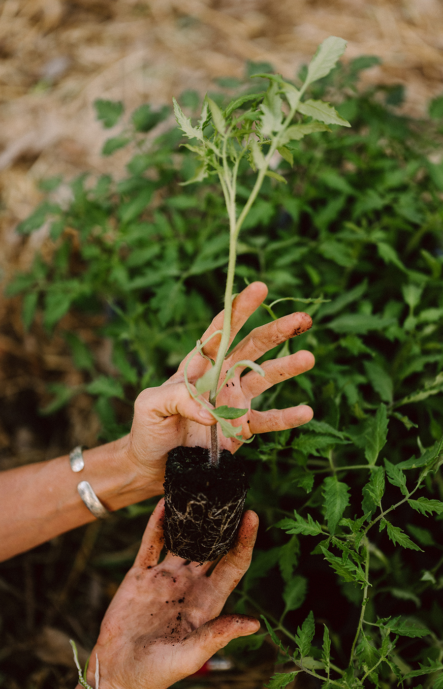 THE HAPPIEST GARDEN IN NICE | JAN