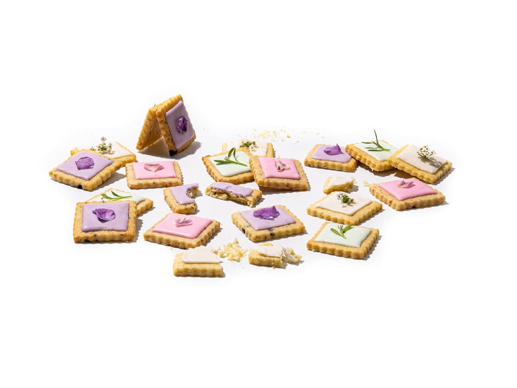 Fruity Iced Biscuits | JAN Online