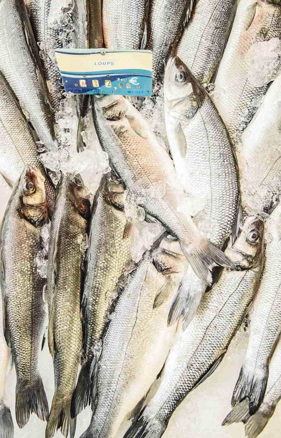 JAN | Wine | JAN ORGANIC WINES