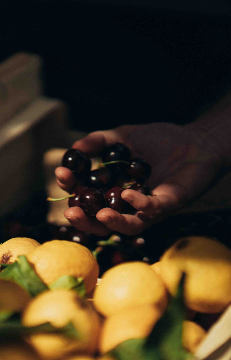 JAN - Michelin Star Chef & Restaurant | Jan Hendrik van der Westhuizen