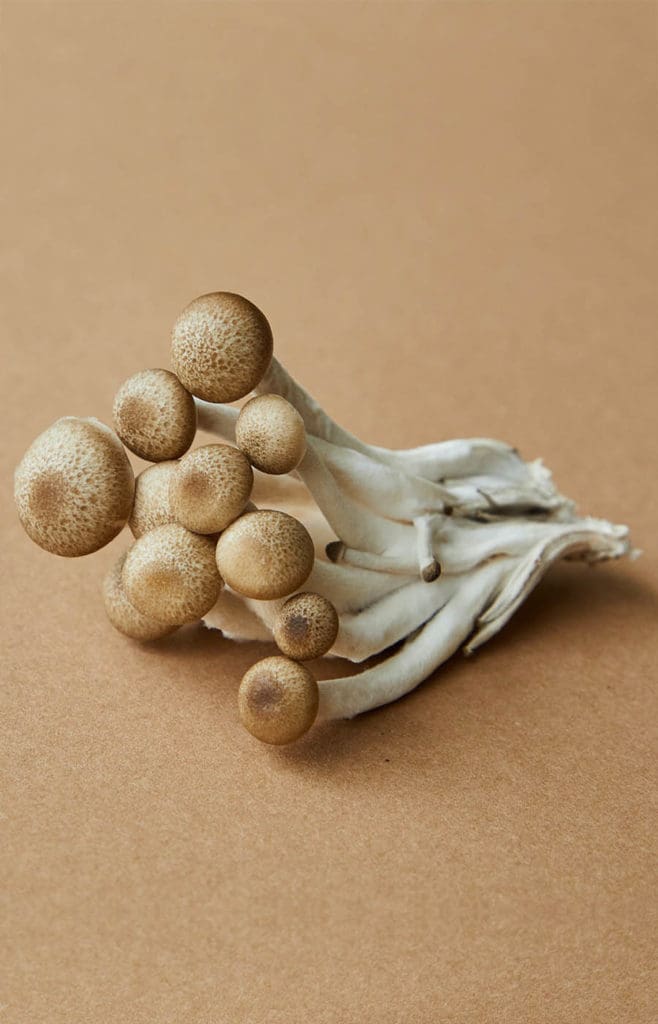 The weird and wonderful history of spice