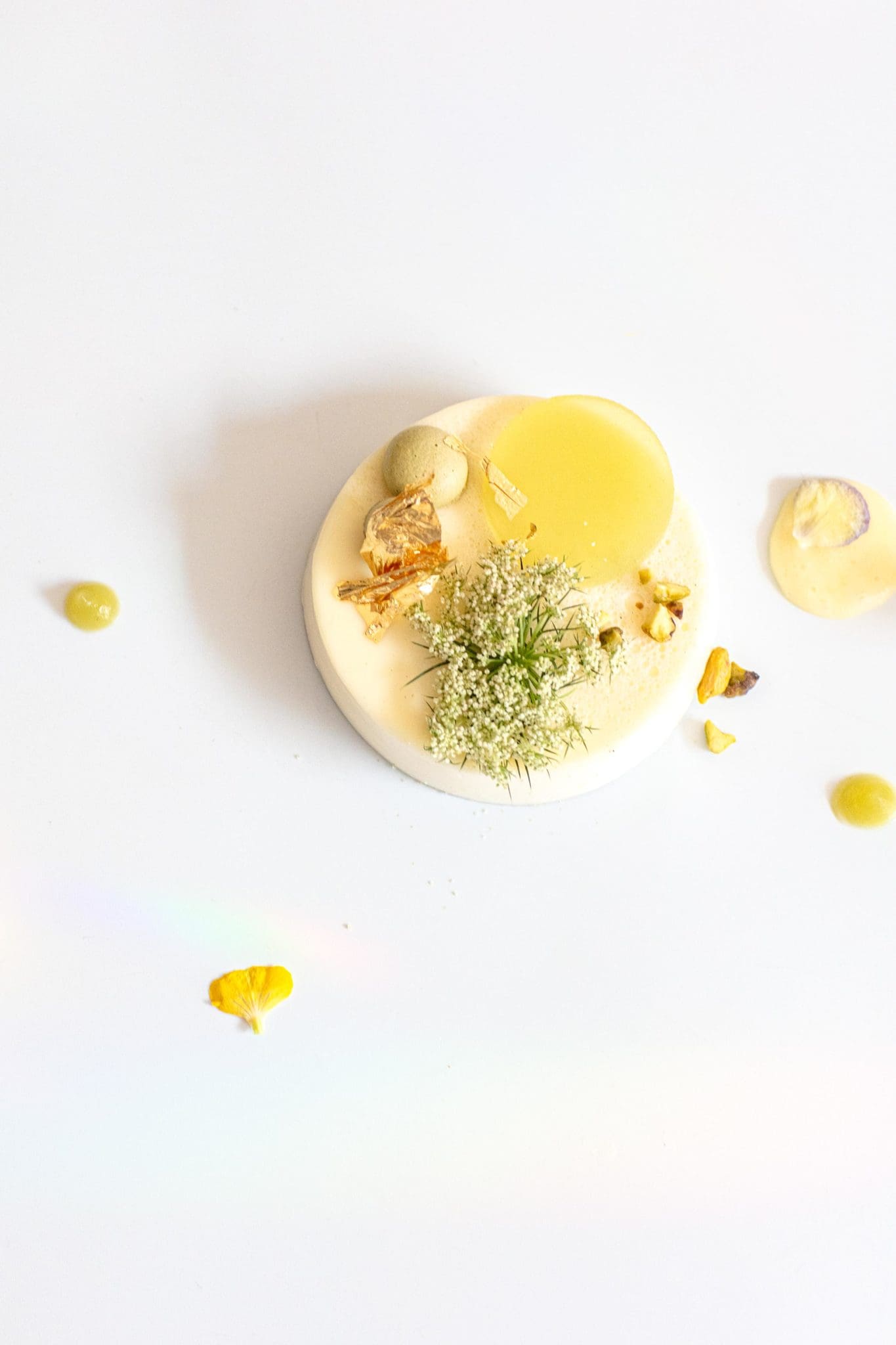 Cinnamon Panna Cotta with Melon Jelly | JAN Online