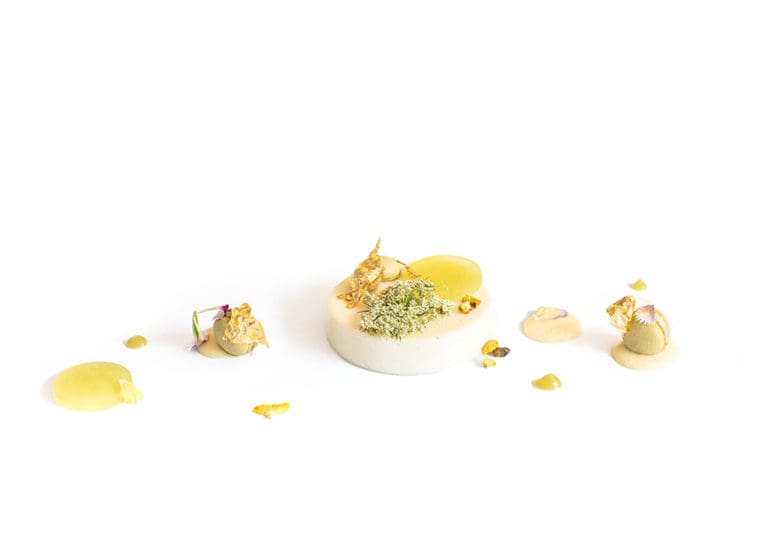 Cinnamon Panna Cotta with Melon Jelly | JAN Online