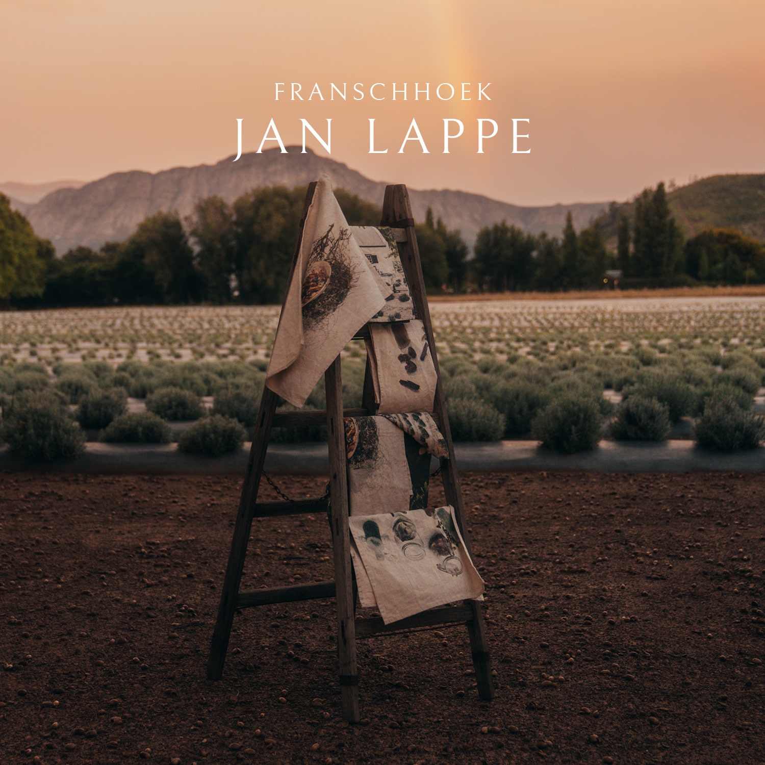 Shop - JAN | Curated Products & Collections