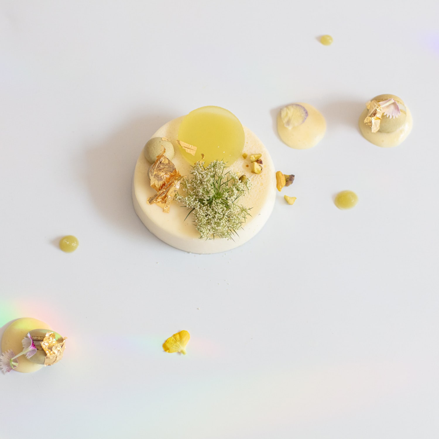 Michelin Star Chef & Restaurant | Jan Hendrik van der Westhuizen