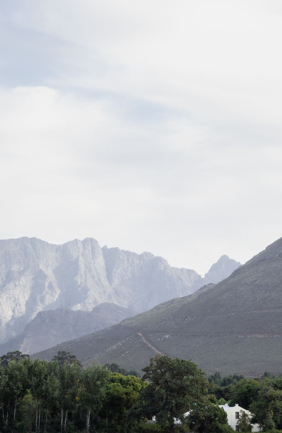 A taste of Provence, without the plane ticket | JAN Online